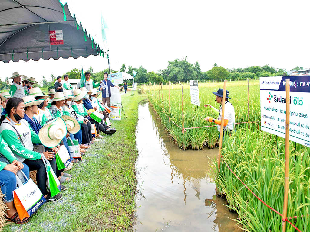ซินเจนทา เปิดตัวผลิตภัณฑ์นวัตกรรมปราบเชื้อรา แก้โรคในนาข้าว - Agriplusnews