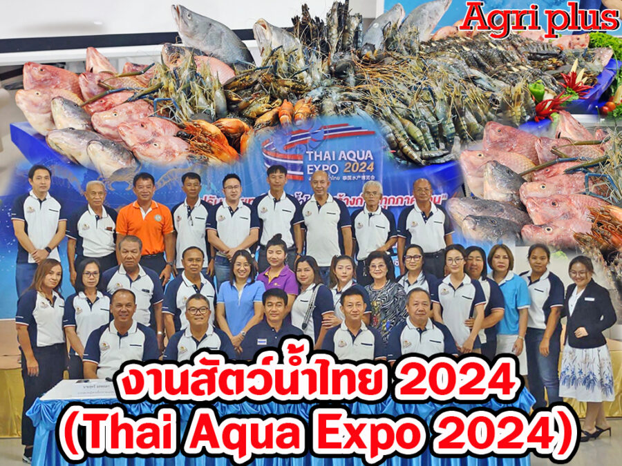 งานสัตว์น้ำไทย 2024 (Thai Aqua Expo 2024) - Agriplusnews
